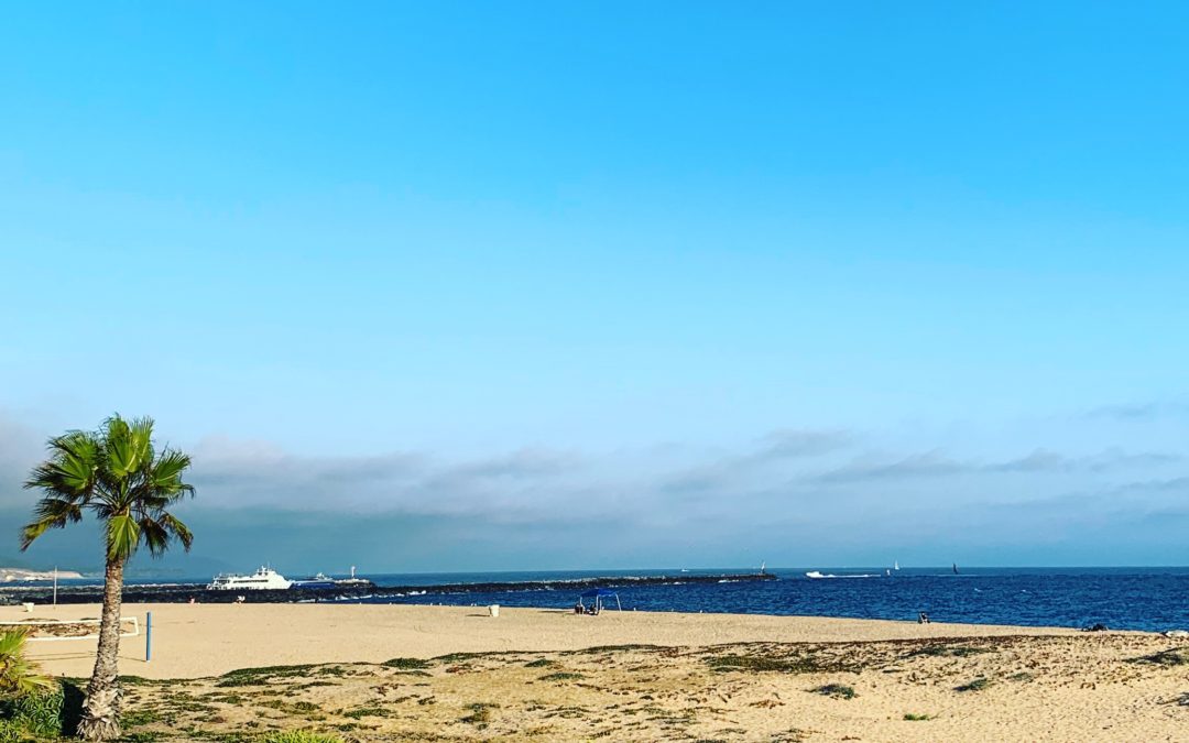 Star, Stripes and Sale – Liz Shea Designs